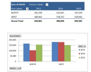 Pivot Charts & Slicers | MyExcelOnline