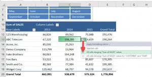 Conditionally Format a Pivot Table With Data Bars | MyExcelOnline