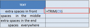 Cleaning Data with Excel's TRIM Formula | MyExcelOnline