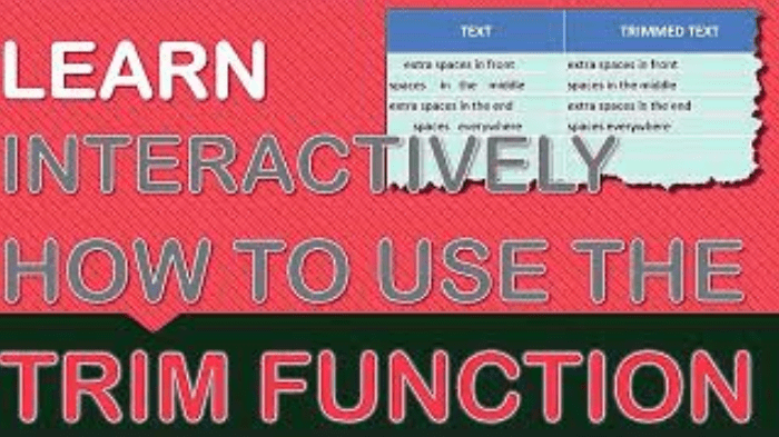 Cleaning Data with Excel's TRIM Formula | Free Microsoft Excel Tutorials