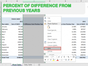 Show The Percent of Difference From Previous Years With Excel Pivot ...