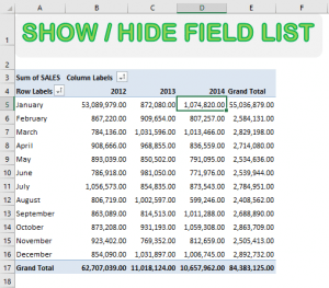 How to Show Pivot Table Fields | MyExcelOnline