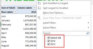 Delete & Clear Pivot Table Cache | MyExcelOnline