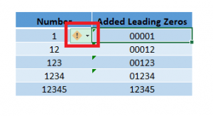 Add a Leading Zero in Excel | MyExcelOnline
