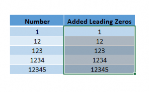 Add a Leading Zero in Excel | MyExcelOnline