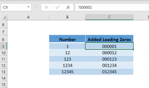 Add a Leading Zero in Excel | MyExcelOnline