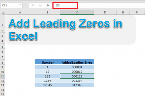 Add a Leading Zero in Excel | MyExcelOnline