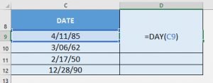 DAY Formula in Excel | MyExcelOnline