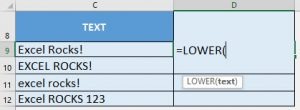 LOWER Formula in Excel | MyExcelOnline