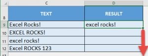 LOWER Formula in Excel | MyExcelOnline