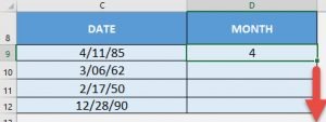 MONTH Formula in Excel | MyExcelOnline