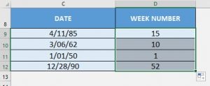 WEEKNUM Formula in Excel | MyExcelOnline