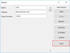Use the Data Entry Form Using Macros | MyExcelOnline