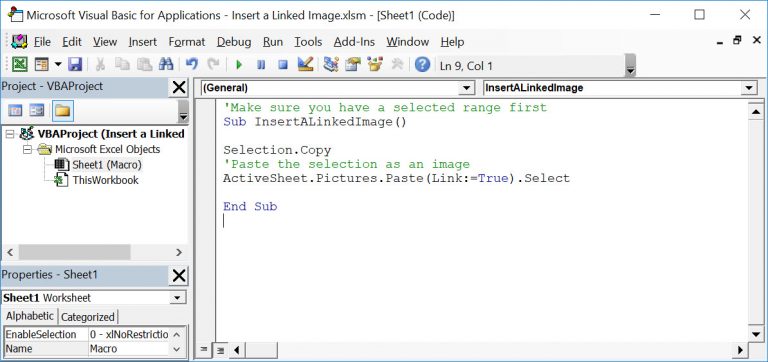Insert a Linked Image Using Macros | MyExcelOnline