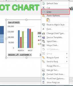 Copy a Pivot Chart | MyExcelOnline