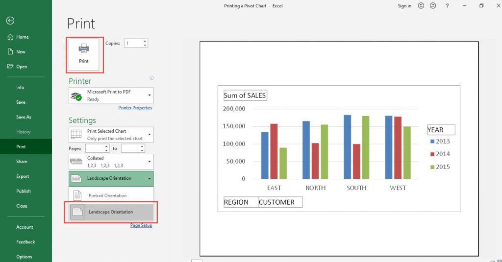 Printing a Pivot Chart | MyExcelOnline