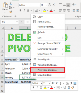 Delete & Clear Pivot Table Cache | MyExcelOnline