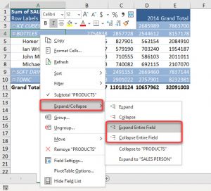 Expand and Collapse buttons in Excel Pivot Tables | MyExcelOnline