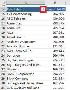 Filter by Text wildcards | MyExcelOnline
