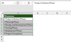 How to Add Bullet Points in Excel - Top 7 Ways | MyExcelOnline