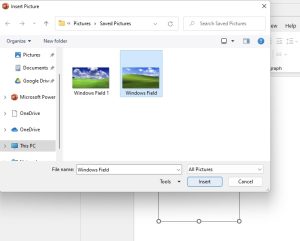 Easy Step-by-Step Guide: Add a Picture Placeholder in PowerPoint | MyExcelOnline