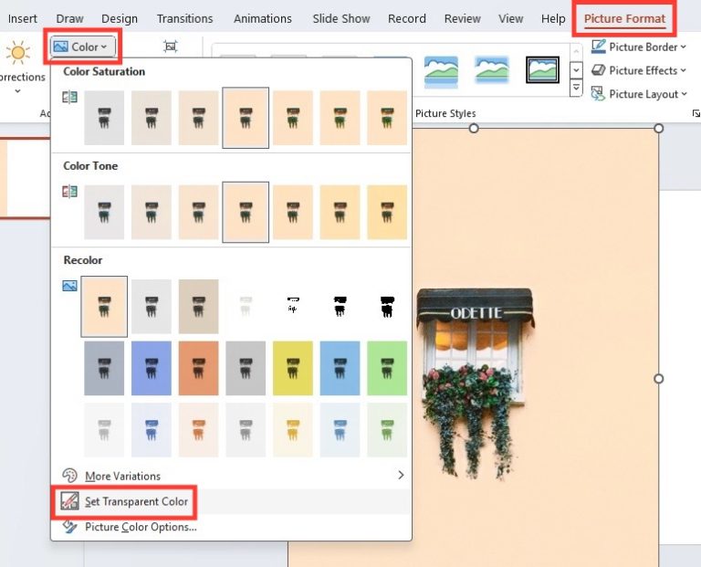 Best Tutorial - Create Transparent Pictures in PowerPoint | MyExcelOnline
