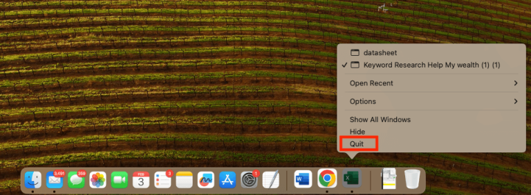 How to Force Quit on Excel Mac: Step by Step | MyExcelOnline