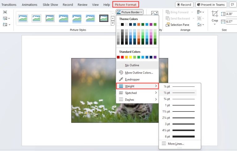 How to Add Borders to Images in PowerPoint | MyExcelOnline