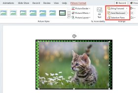 How to Add Borders to Images in PowerPoint | MyExcelOnline