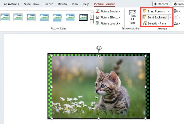 How to Add Borders to Images in PowerPoint | MyExcelOnline