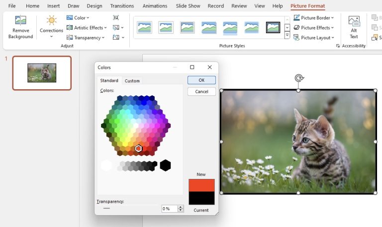 How to Add Borders to Images in PowerPoint | MyExcelOnline