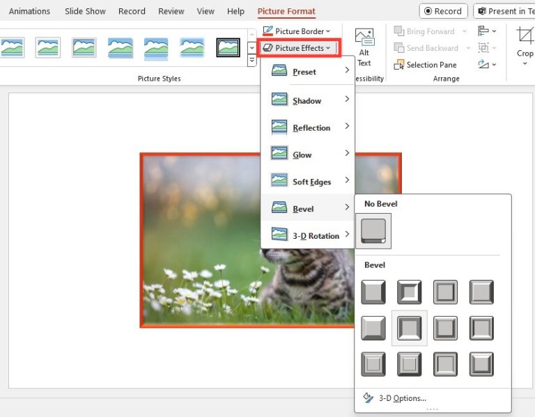 How to Add Borders to Images in PowerPoint | MyExcelOnline