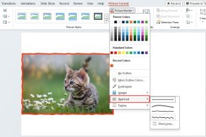 How to Add Borders to Images in PowerPoint | MyExcelOnline