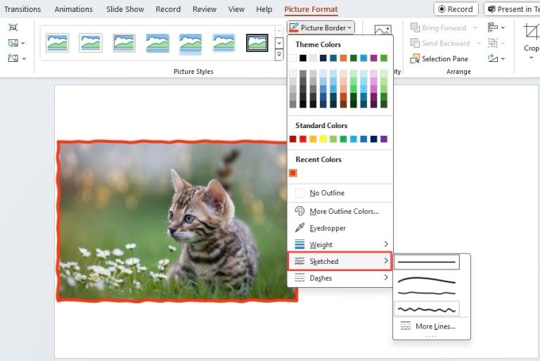 How to Add Borders to Images in PowerPoint | MyExcelOnline