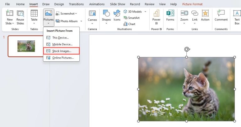 How to Add Borders to Images in PowerPoint | MyExcelOnline
