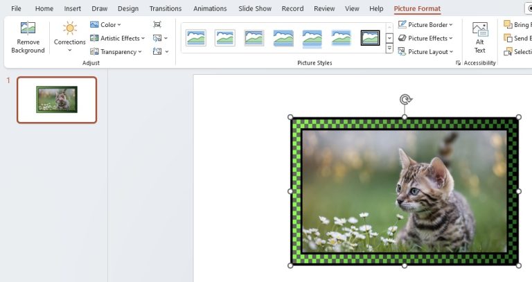 How to Add Borders to Images in PowerPoint | MyExcelOnline