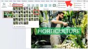 How to Easily Blur Images in PowerPoint | MyExcelOnline