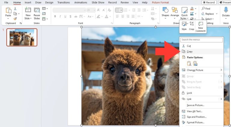 How to Easily Blur Images in PowerPoint | MyExcelOnline
