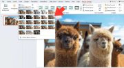 How to Easily Blur Images in PowerPoint | MyExcelOnline