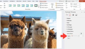 How to Easily Blur Images in PowerPoint | MyExcelOnline