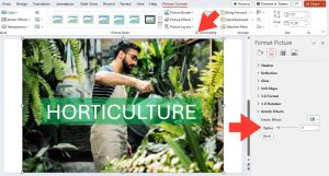 How to Easily Blur Images in PowerPoint | MyExcelOnline