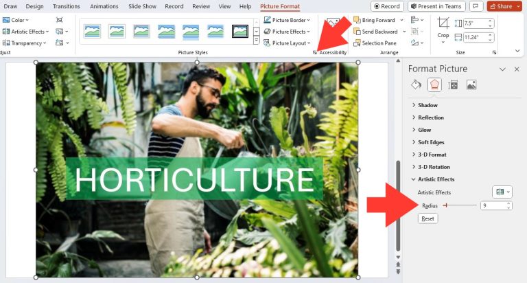How to Easily Blur Images in PowerPoint | MyExcelOnline