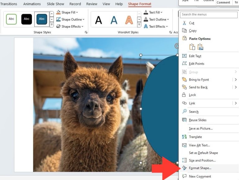 How to Easily Blur Images in PowerPoint | MyExcelOnline