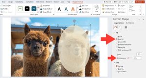 How to Easily Blur Images in PowerPoint | MyExcelOnline