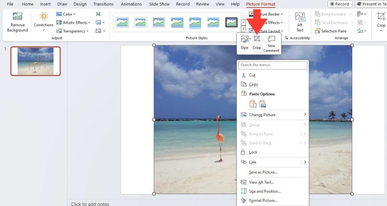 Crop Two Images to Same Size in PowerPoint - Step by Step Guide ...