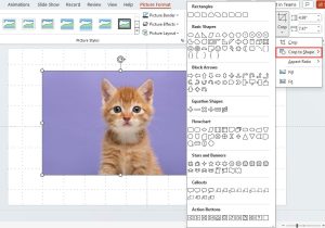 Crop Two Images to Same Size in PowerPoint - Step by Step Guide ...