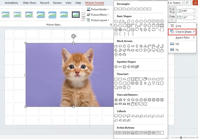 Crop Two Images to Same Size in PowerPoint - Step by Step Guide ...