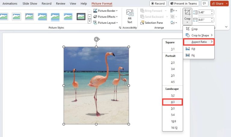 Crop Two Images to Same Size in PowerPoint - Step by Step Guide ...