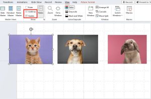 Crop Two Images to Same Size in PowerPoint - Step by Step Guide ...