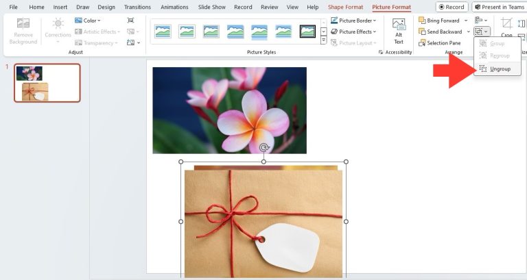 The Best Guide to Crop Pictures in PowerPoint Perfectly | MyExcelOnline
